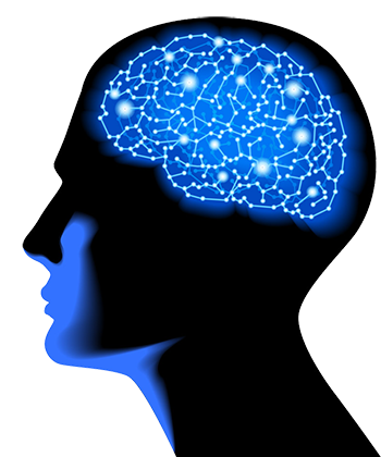 CSSL Global | Science of learning